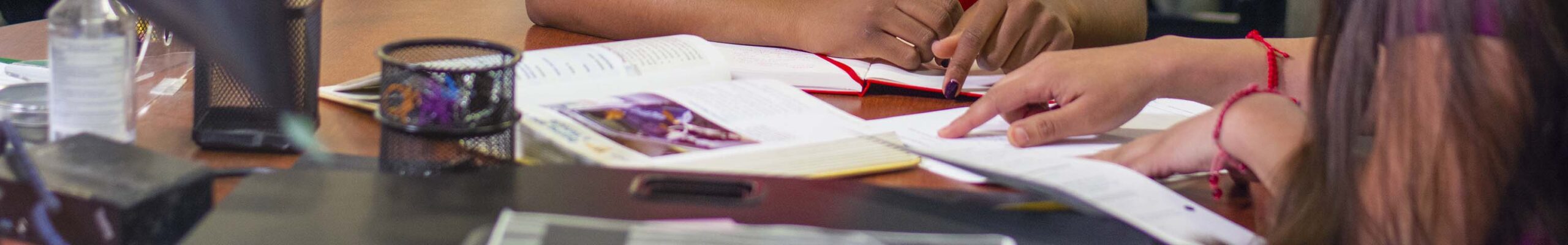 Restraint and Seclusion Data - Crescent View South Public Charter School II